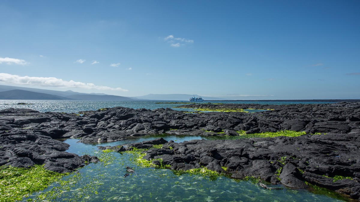 Île Bartolome | Les Iles Enchantées | Îles Galápagos
