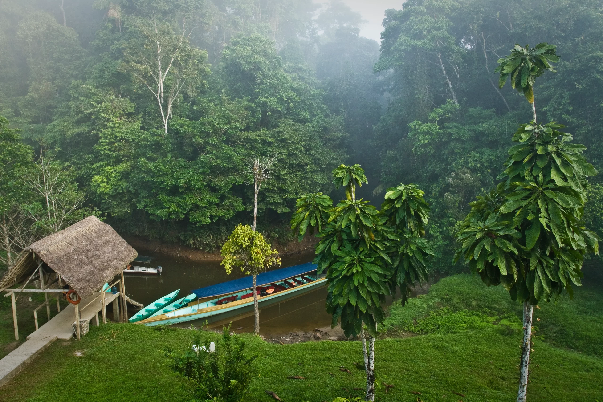 Découvrez 10 raisons d'explorer l'Amazonie équatorienne - Galapagos ...